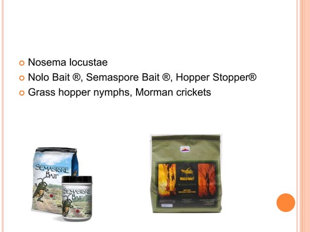 Microbial insecticides | PPTX