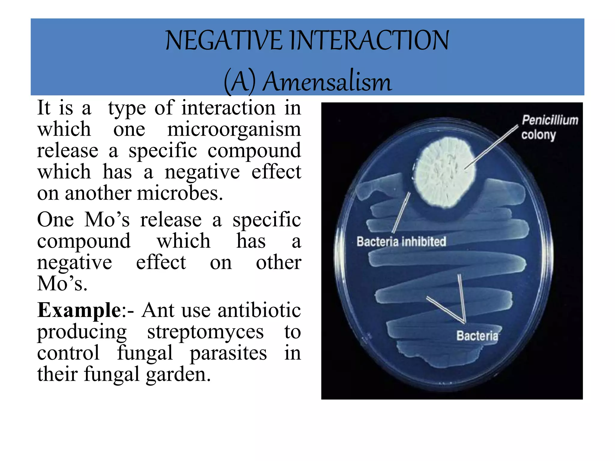 Microbial interaction | PPTX
