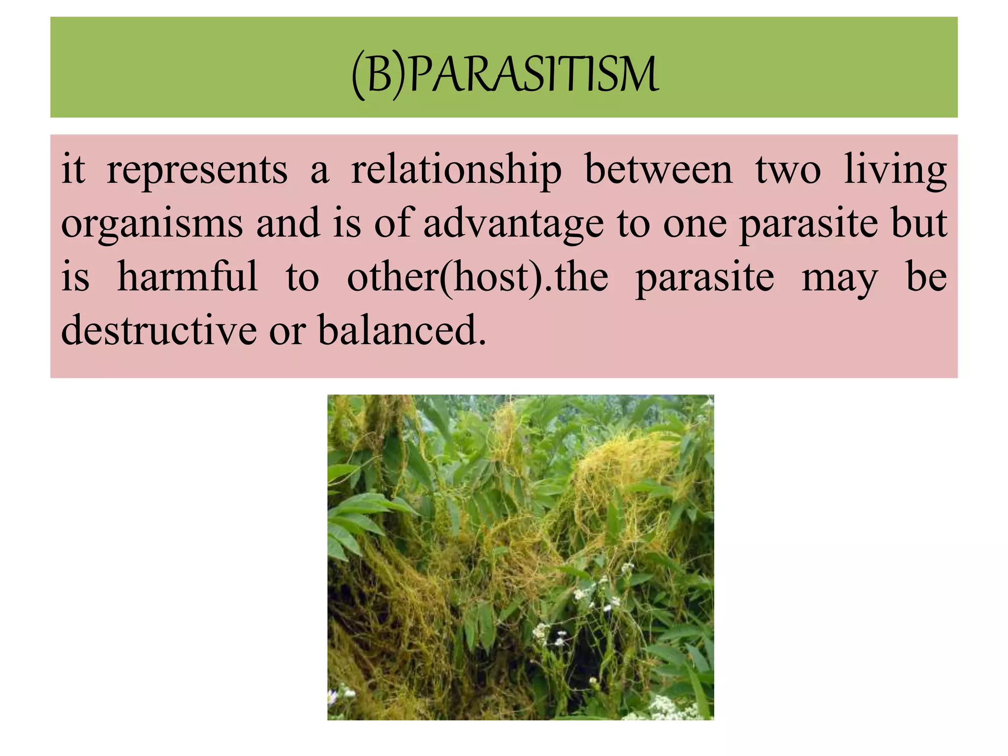 Microbial interaction | PPTX