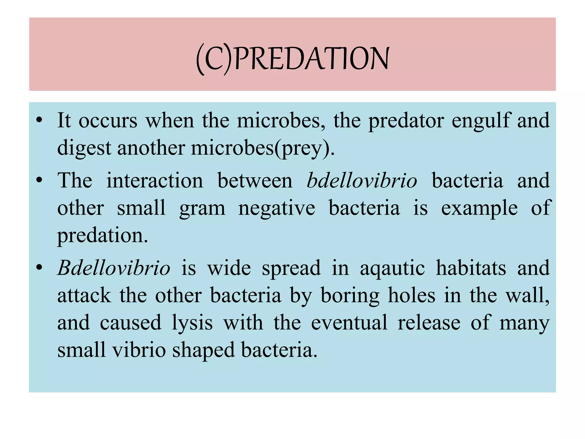Microbial interaction | PPTX
