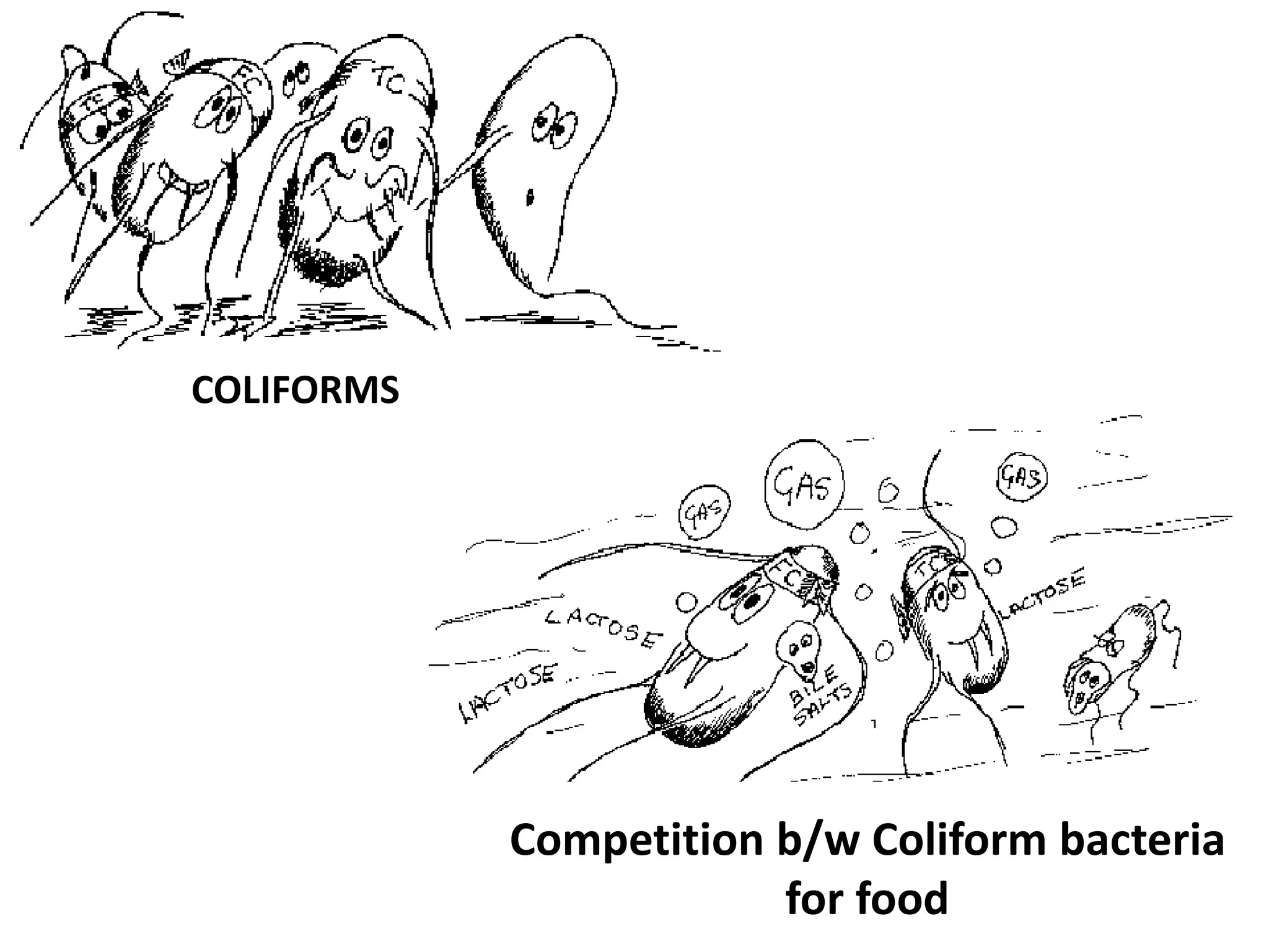 Microbial interaction | PPTX