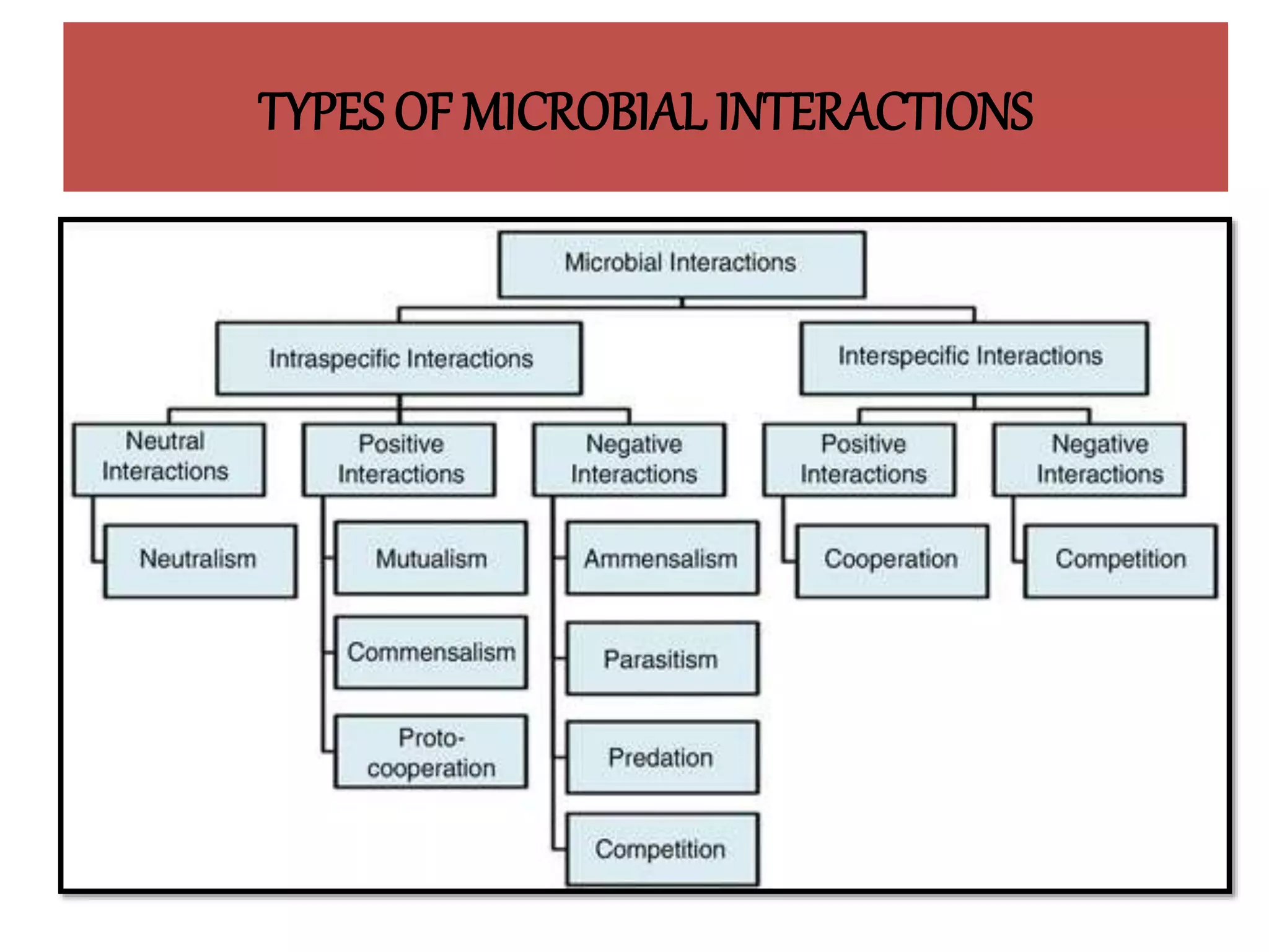 Microbial interaction | PPTX