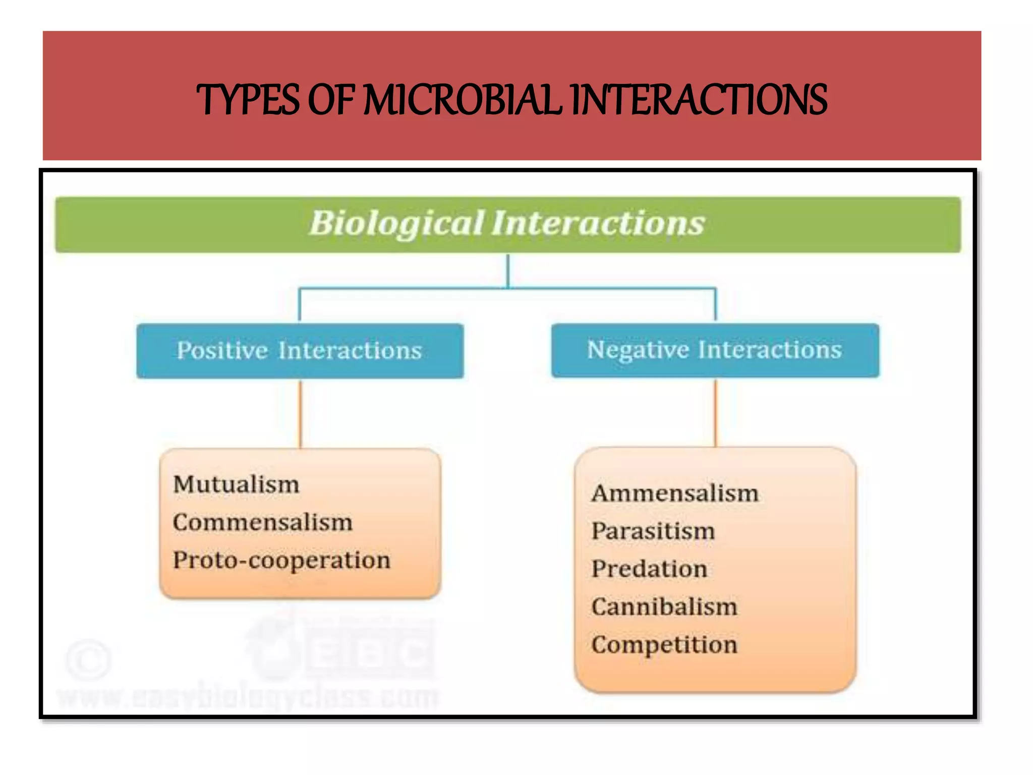 Microbial interaction | PPTX