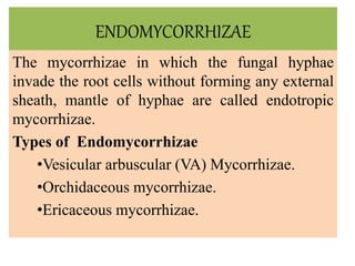 Microbial interaction | PPTX