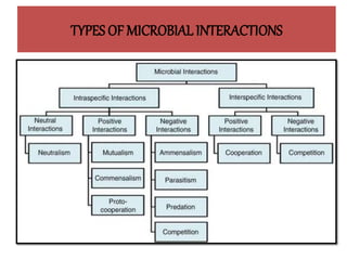 Microbial interaction | PPTX