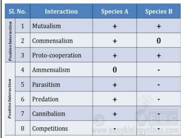 Microbial interaction | PPTX | Biological Sciences | Science
