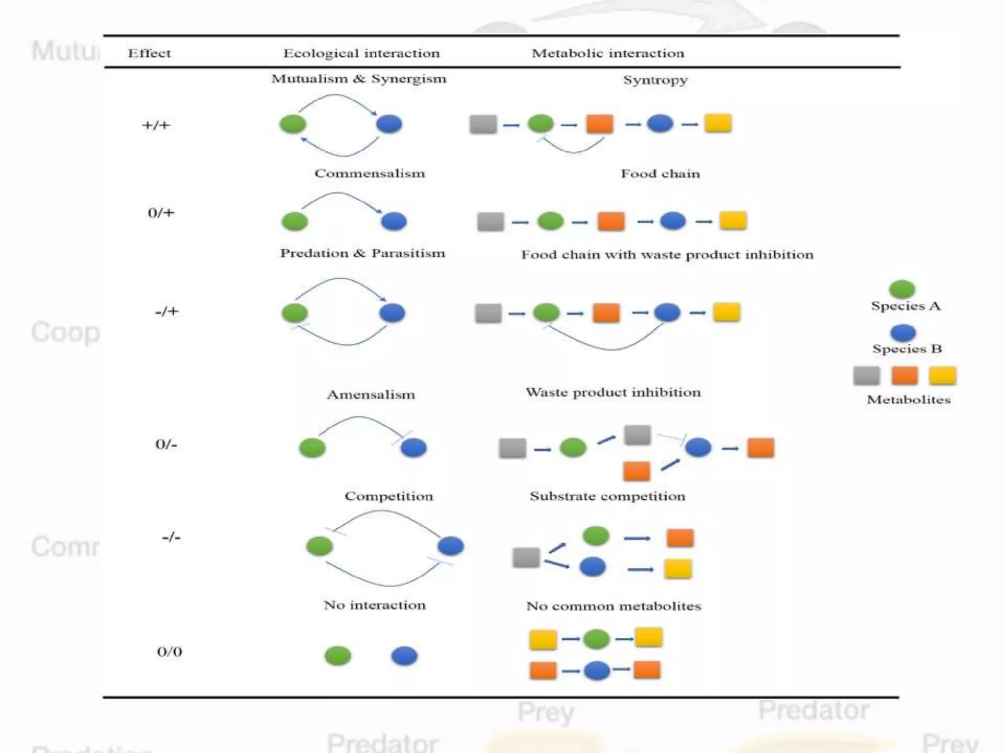 Microbial interaction.pptx