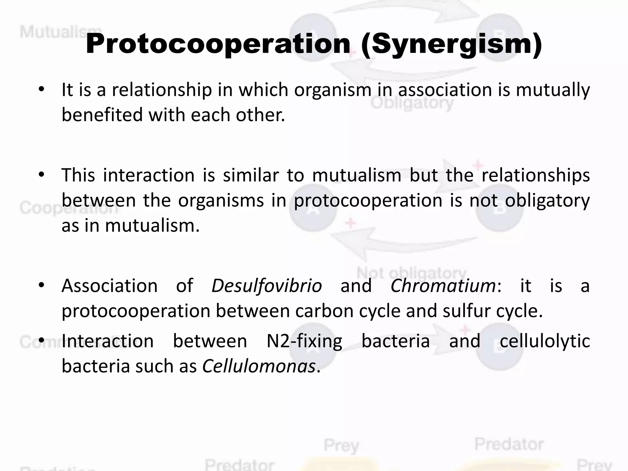 Microbial interaction.pptx
