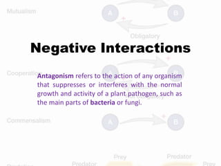 Microbial interaction.pptx