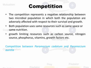 Microbial interaction.pptx