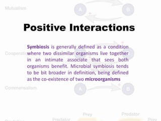 Microbial interaction.pptx