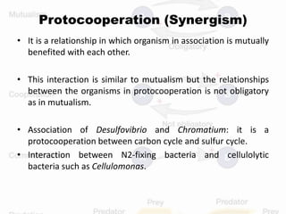 Microbial interaction.pptx