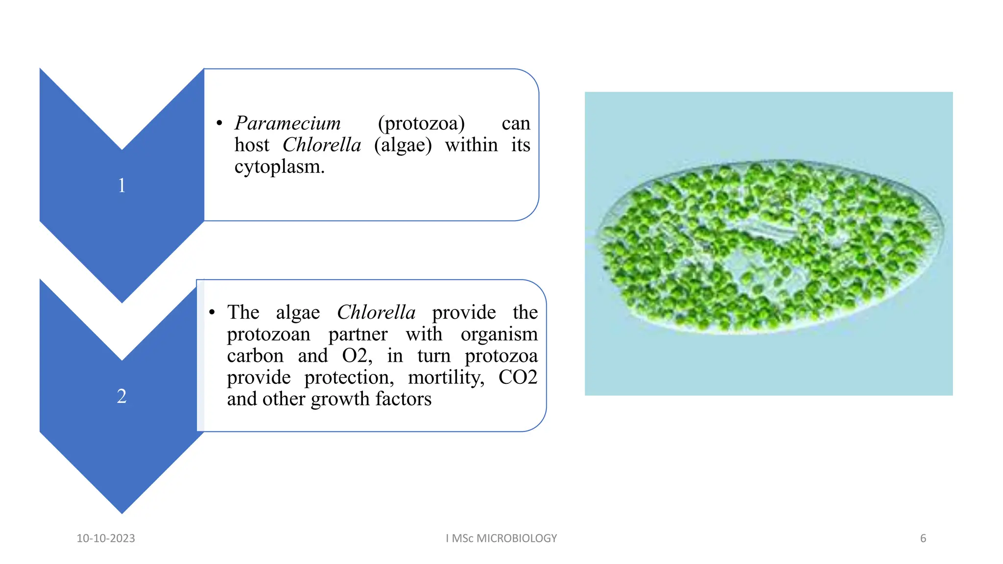 MICROBIAL INTERACTION.pptx