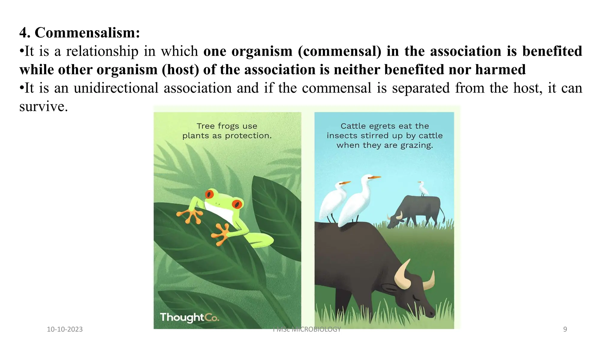 MICROBIAL INTERACTION.pptx