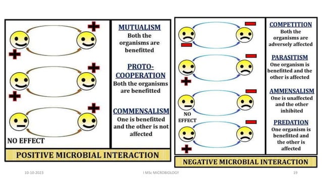 MICROBIAL INTERACTION.pptx | Biological Sciences | Science