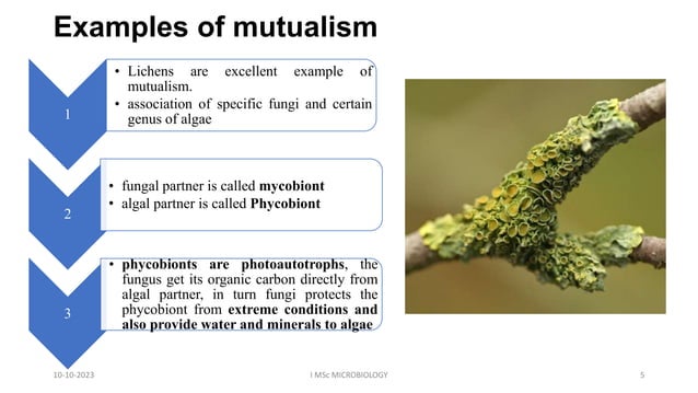 MICROBIAL INTERACTION.pptx | Biological Sciences | Science