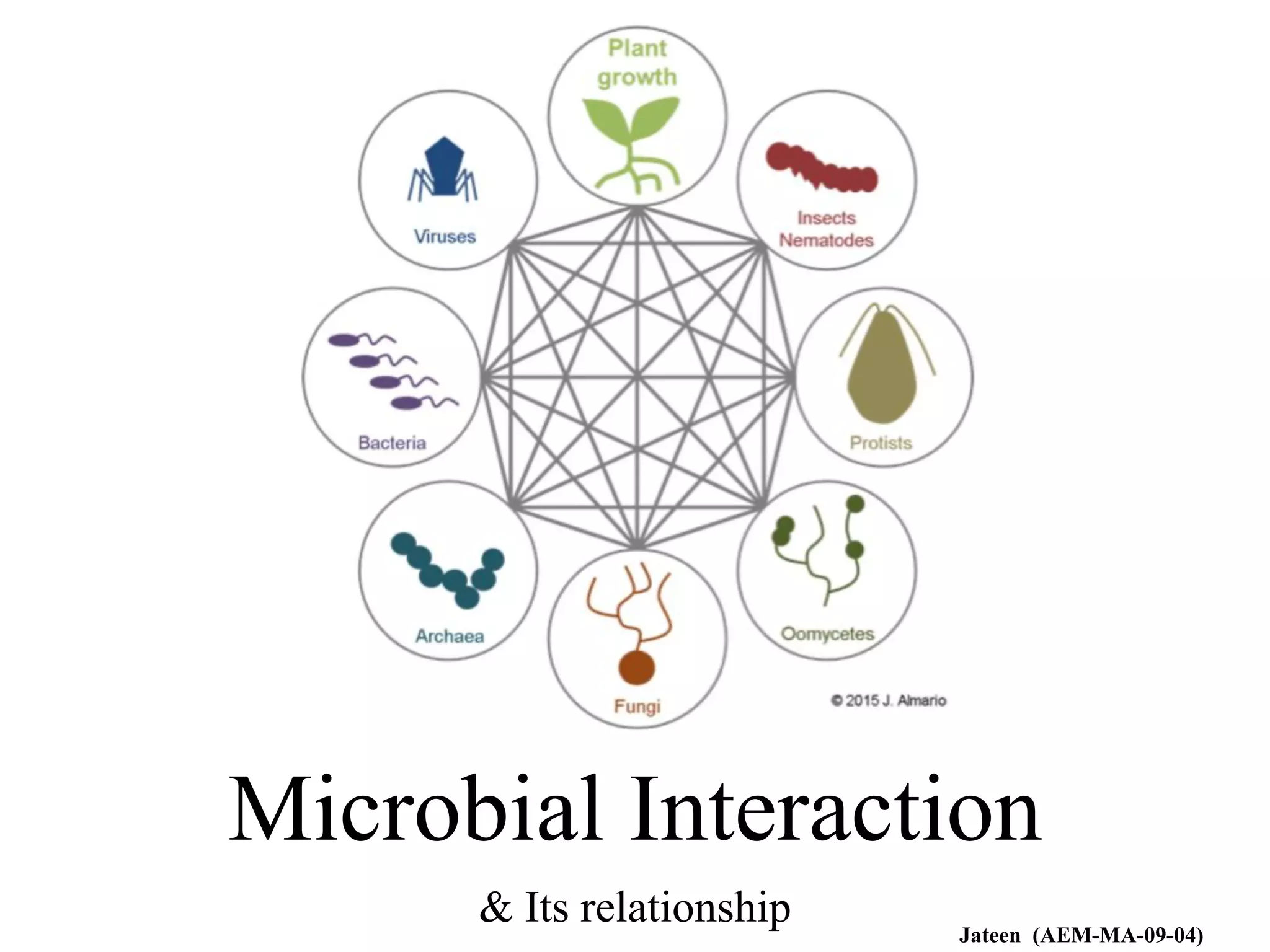 Microbial interaction and its relationship | PDF