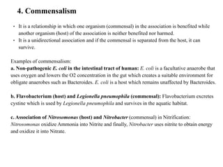 Microbial interaction and its relationship | PDF