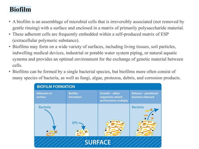 Microbial Interaction And Its Relationship Pdf