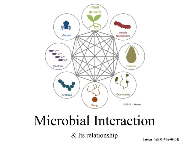 Microbial interaction and its relationship | PPT