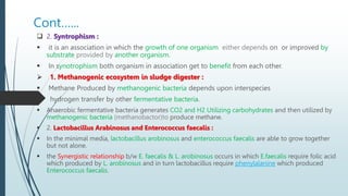 MICROBIAL INTERACTION PPT/ MICROBIAL INTERACTION AND THEIR TYPES ...