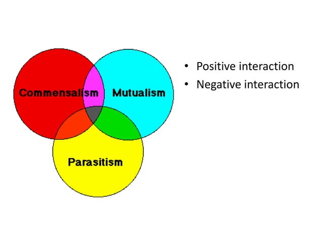 Microbial interactions | PPT