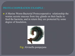 MICROBIAL INTERACTIONS AND TYPE OF INTERACTION | PPT