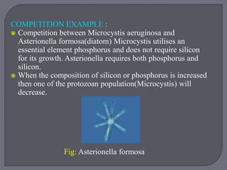 MICROBIAL INTERACTIONS AND TYPE OF INTERACTION | PDF