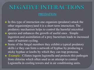 MICROBIAL INTERACTIONS AND TYPE OF INTERACTION | PPT