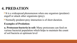 MICROBIAL INTERACTIONS.ppt Environmental Microbiology | PPT