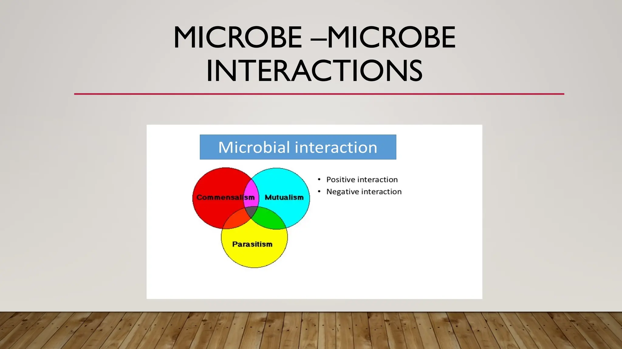 microbial interactions commensalism synergism .pptx