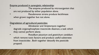 microbial interactions commensalism synergism .pptx