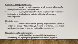 microbial interactions commensalism synergism .pptx
