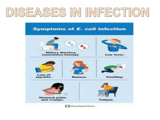 MICROBIAL INTOXICATION AND INFECTION.pptx