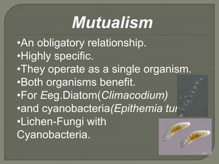 Microbial intraction | PPTX