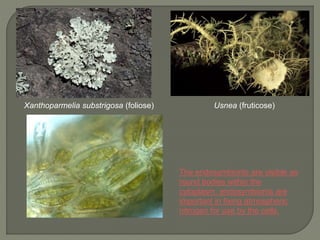 Microbial intraction | PPTX