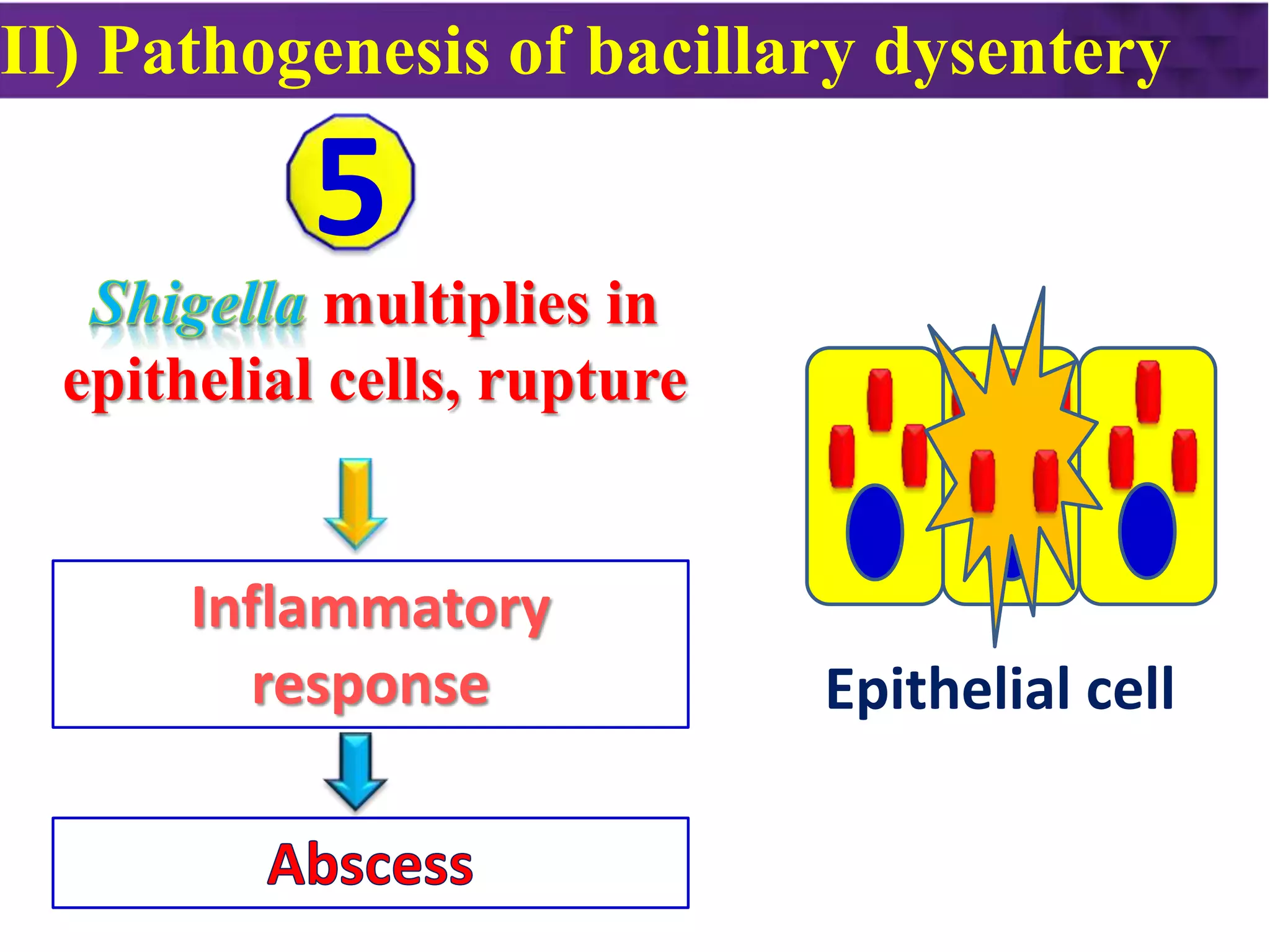 microbial invasion .pptx