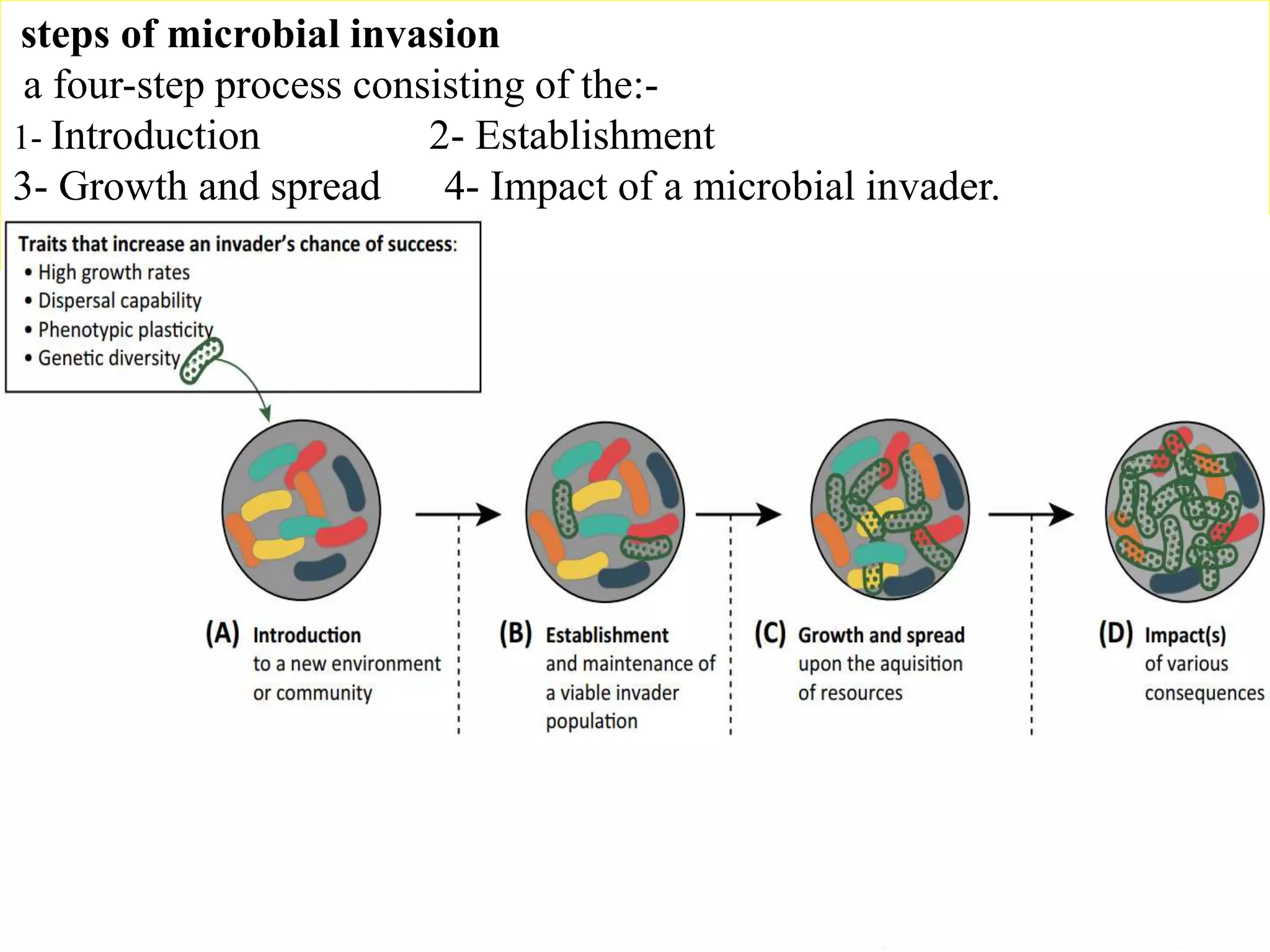 microbial invasion .pptx