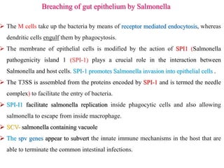 microbial invasion .pptx