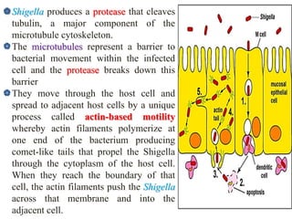 microbial invasion .pptx
