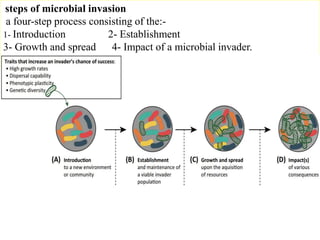 microbial invasion .pptx