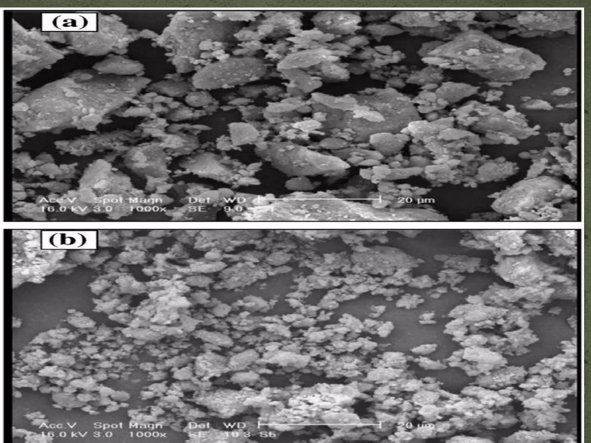 Microbial leaching | PPTX