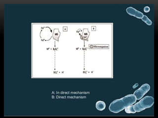 Microbial leaching | PPTX