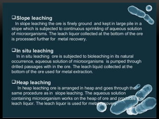 Microbial leaching | PPTX