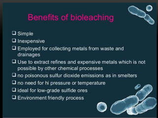 Microbial leaching | PPTX