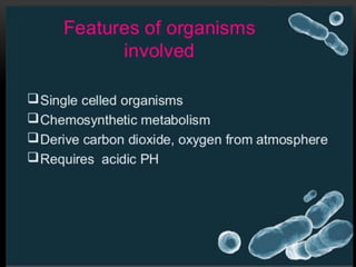 Microbial leaching | PPTX