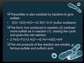 Microbial leaching | PPTX
