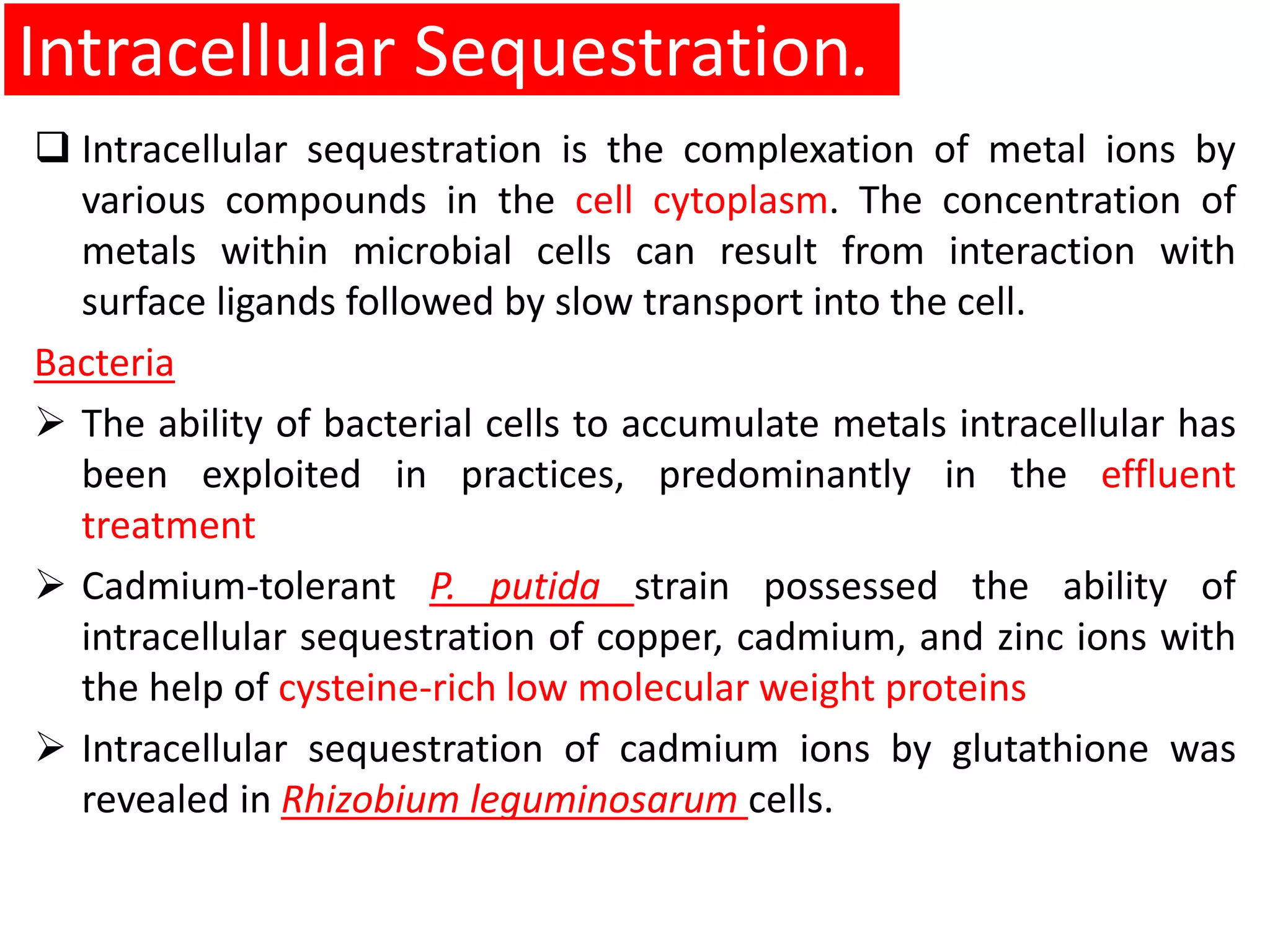 Microbial life in heavy metal environment | PPTX