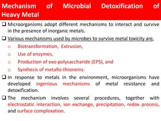 Microbial life in heavy metal environment | PPTX