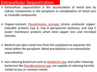 Microbial life in heavy metal environment | PPTX